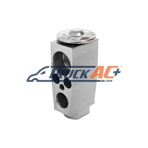 Mack/Volvo A/C Expansion Valve - Mack/Volvo 82795831, 85150463, 324588 ...