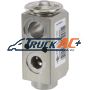 OEM Peterbilt/Kenworth A/C Expansion Valve - Peterbilt/Kenworth ...