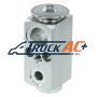 OEM Peterbilt/Kenworth A/C Expansion Valve - Peterbilt/Kenworth ...