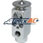 Mack Style A/C Expansion Valve - Mack 3543-T4935001, Egelhof 324323 ...